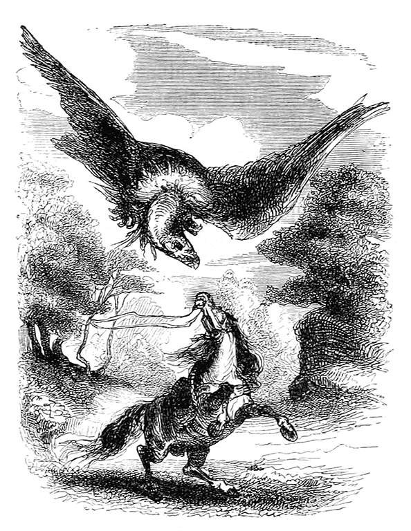 Fighting an Enormous Bird – Old Book Illustrations