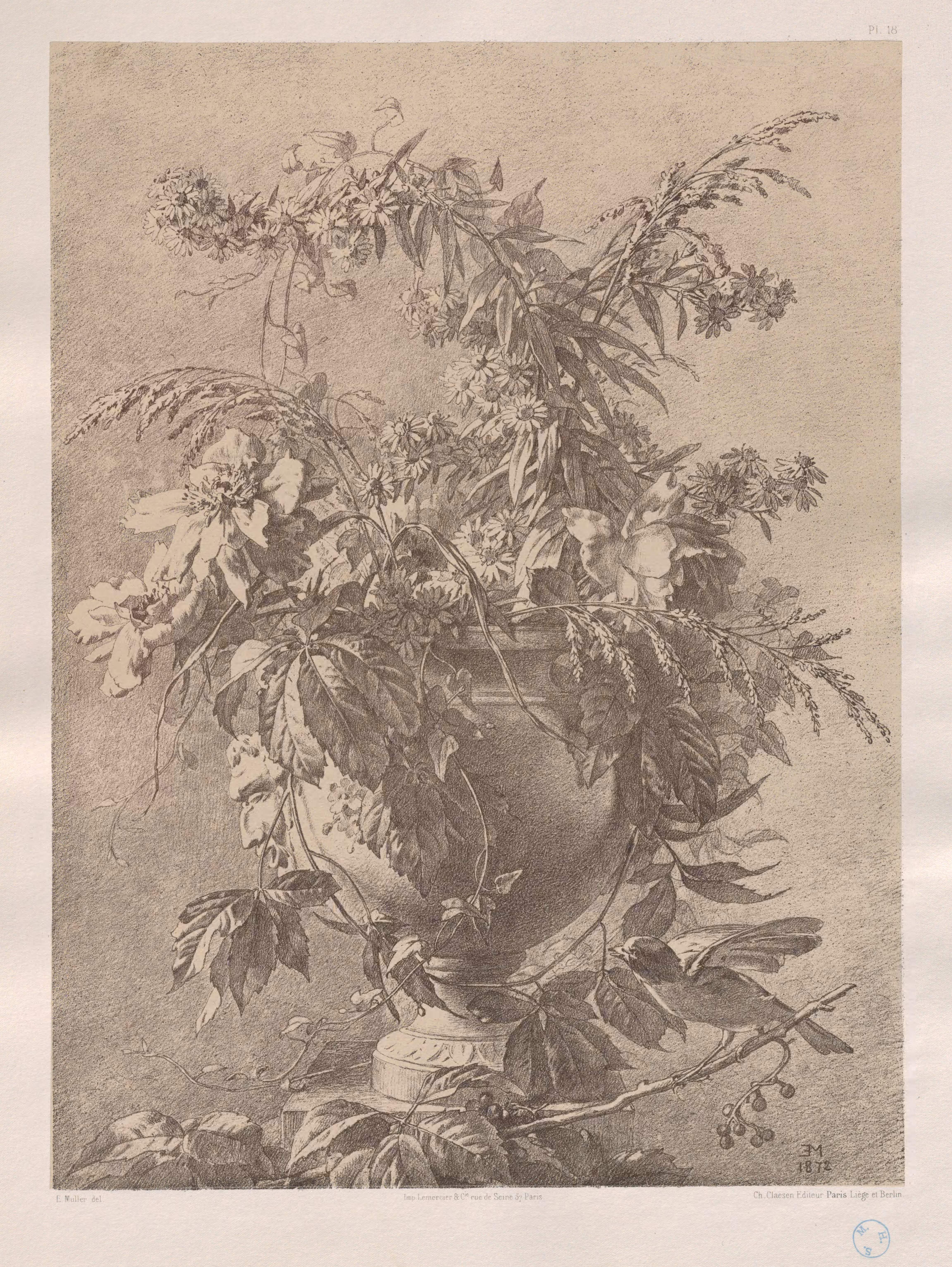 Flore pittoresque—Plate 18 – Old Book Illustrations