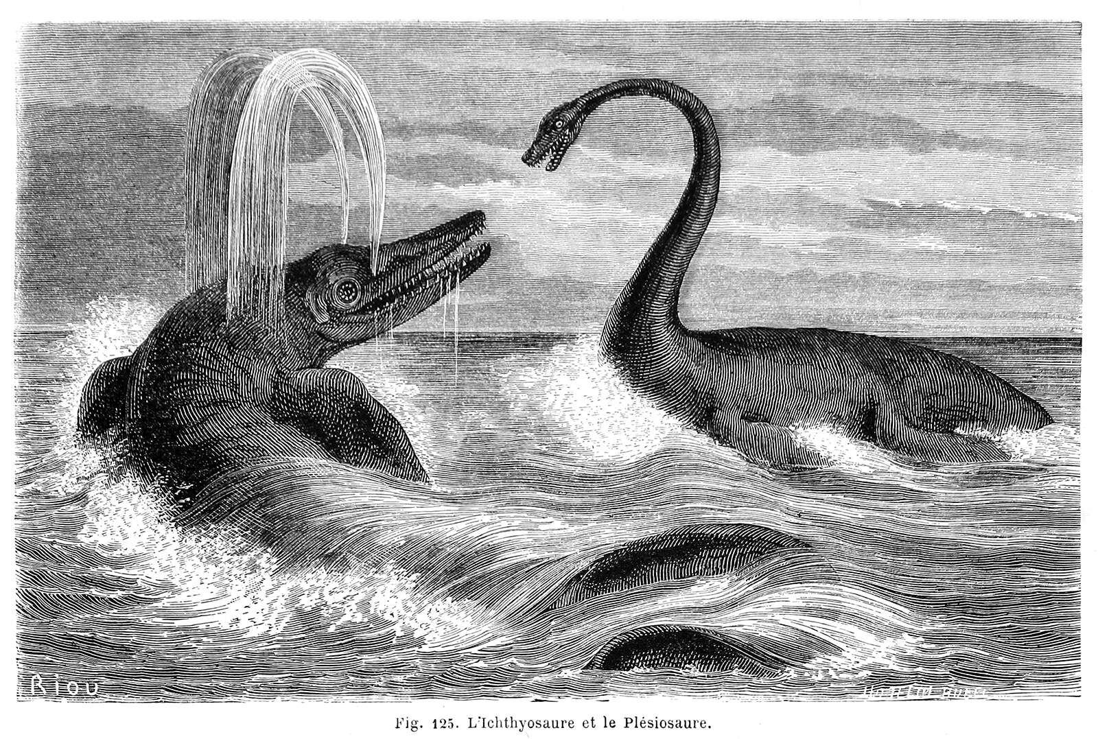Ichthyosaur and Plesiosaurus – Old Book Illustrations