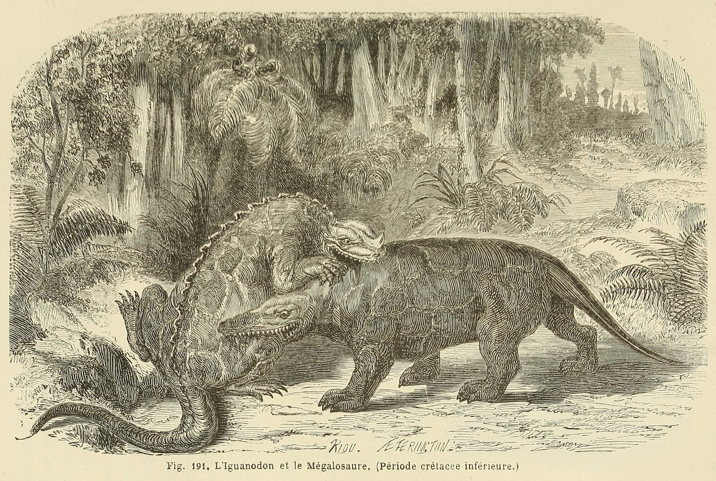 Iguanodon and Megalosaurus – Old Book Illustrations