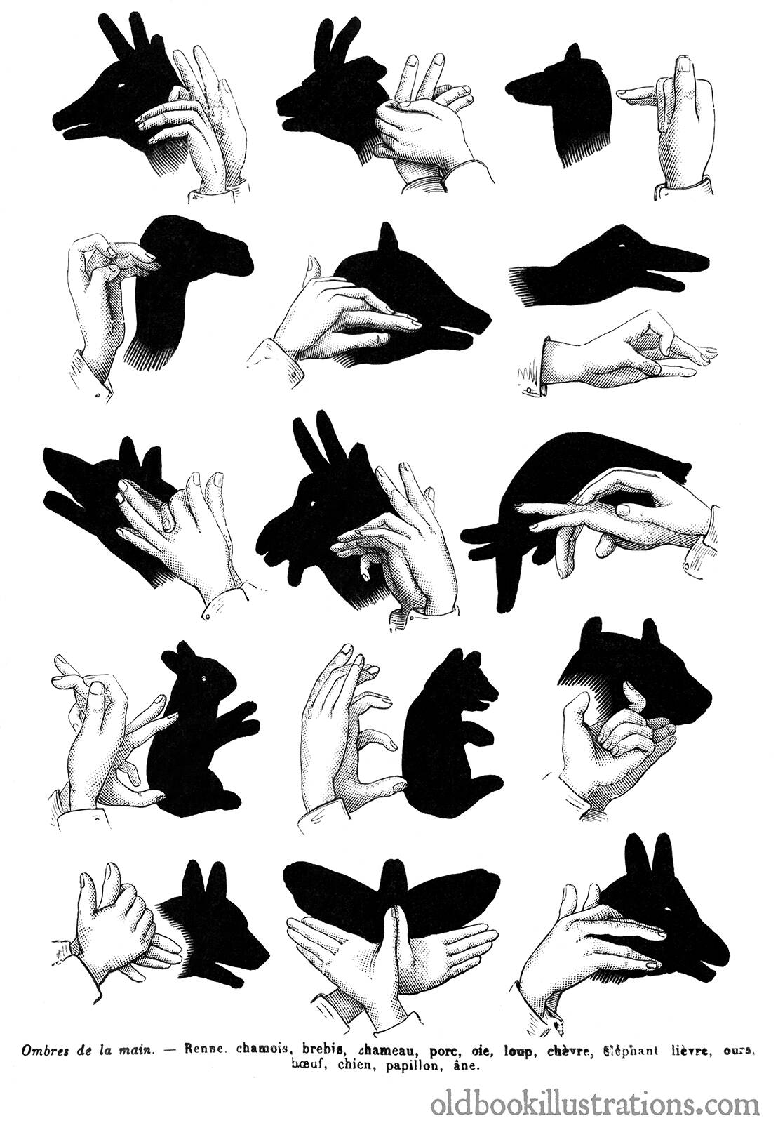 Hand Shadow Puppetry – Old Book Illustrations