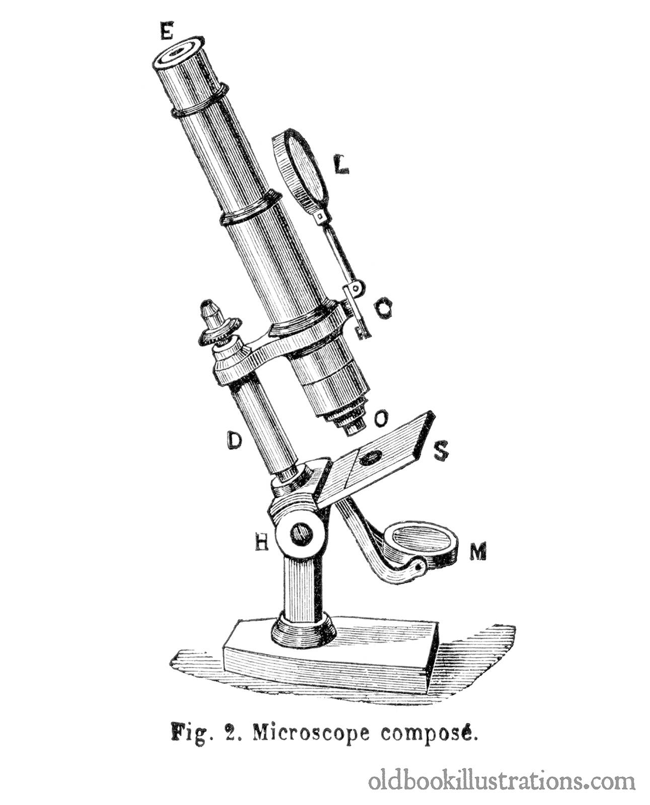 Compound Microscope – Old Book Illustrations