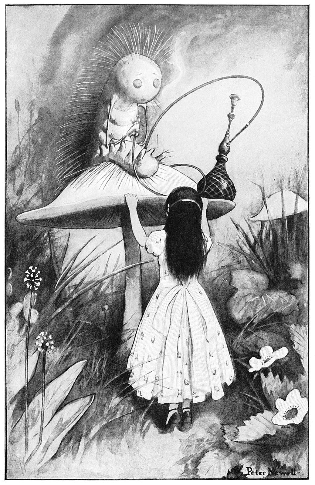 Caterpillar and Alice – Old Book Illustrations