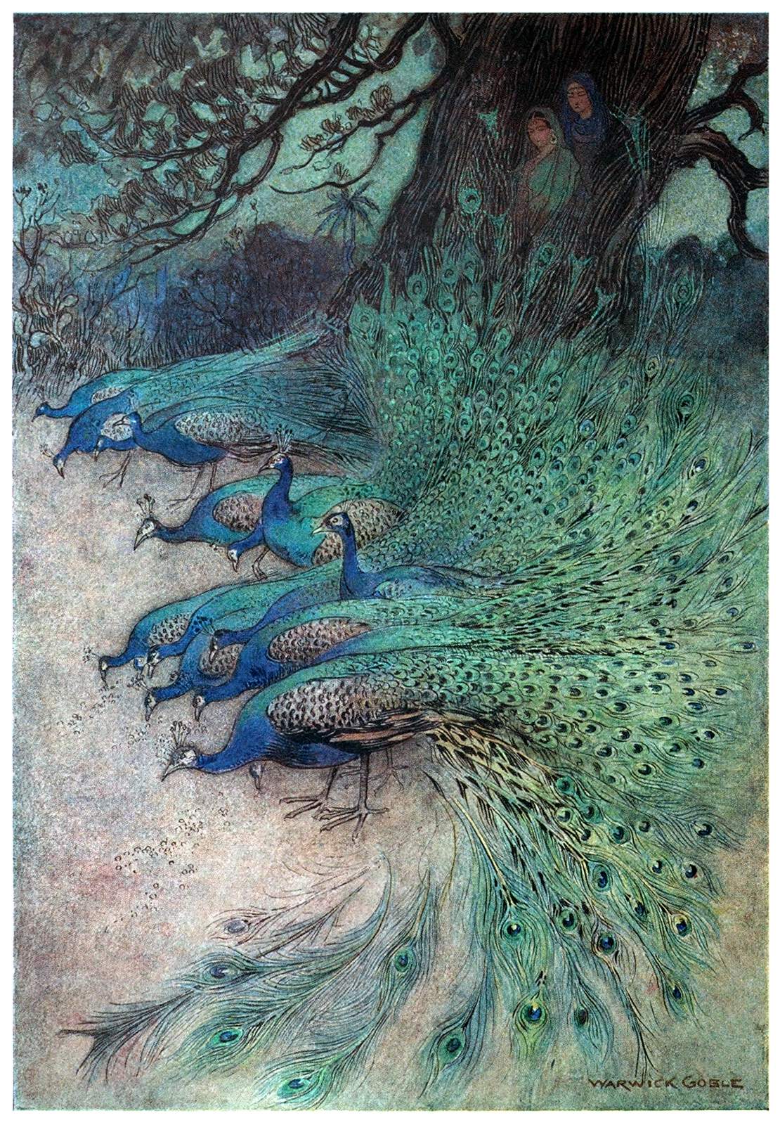 Hundreds of Peacocks of Gorgeous Plumes – Old Book Illustrations