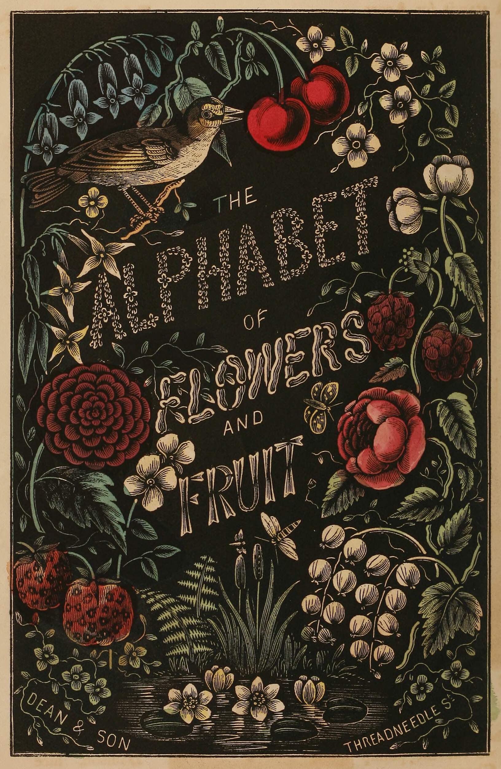 alphabet-flowers-title-rawscan.jpg (1632×2504)图片_插画图片素材-花瓣网