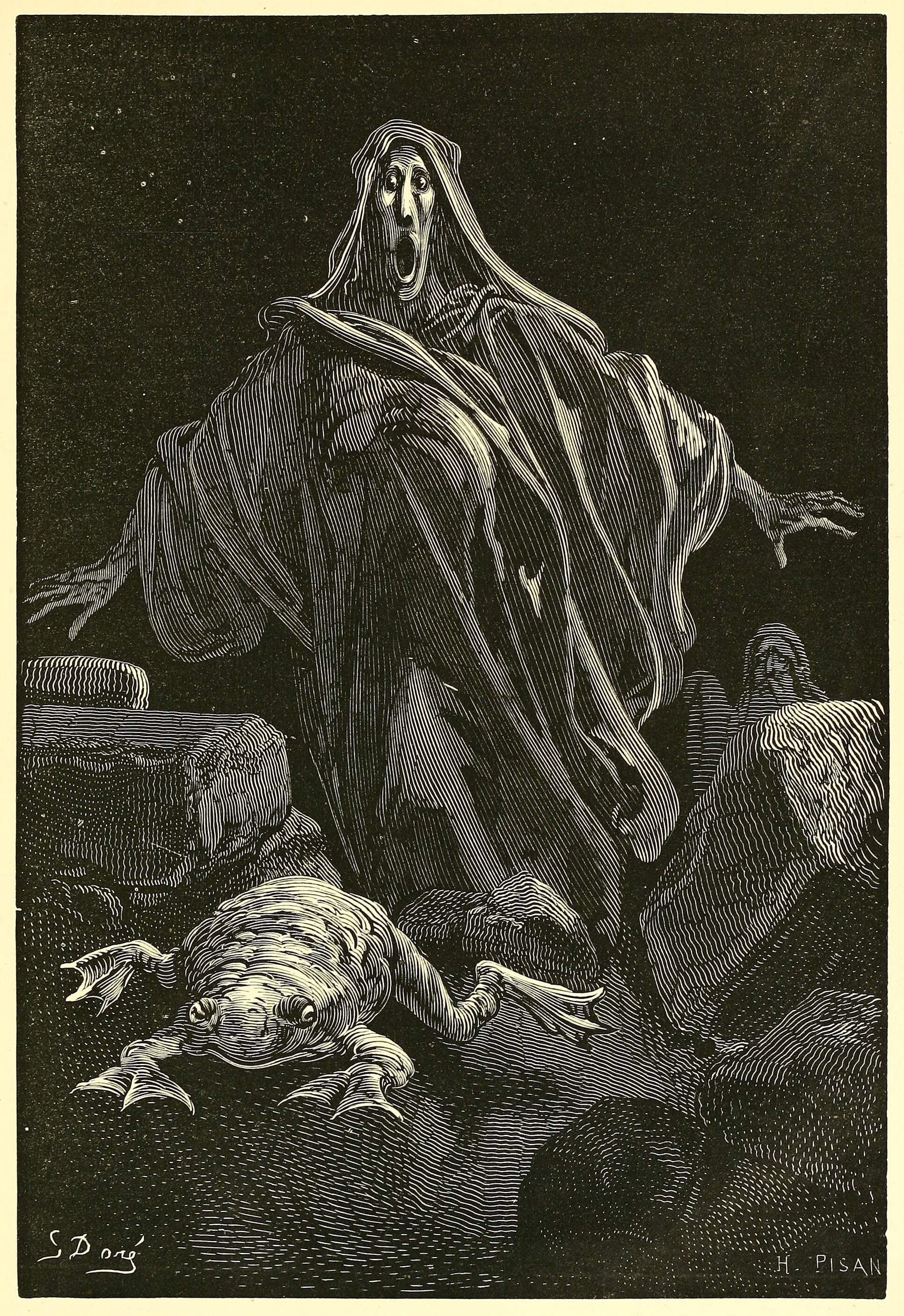shriek-timidity-rawscan.jpg (1932×2812)-花瓣网
