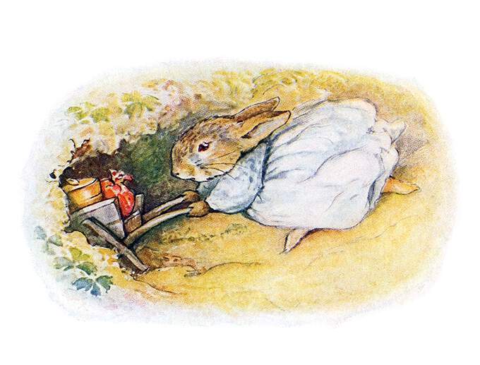 Rabbit Entering Her Burrow Old Book Illustrations